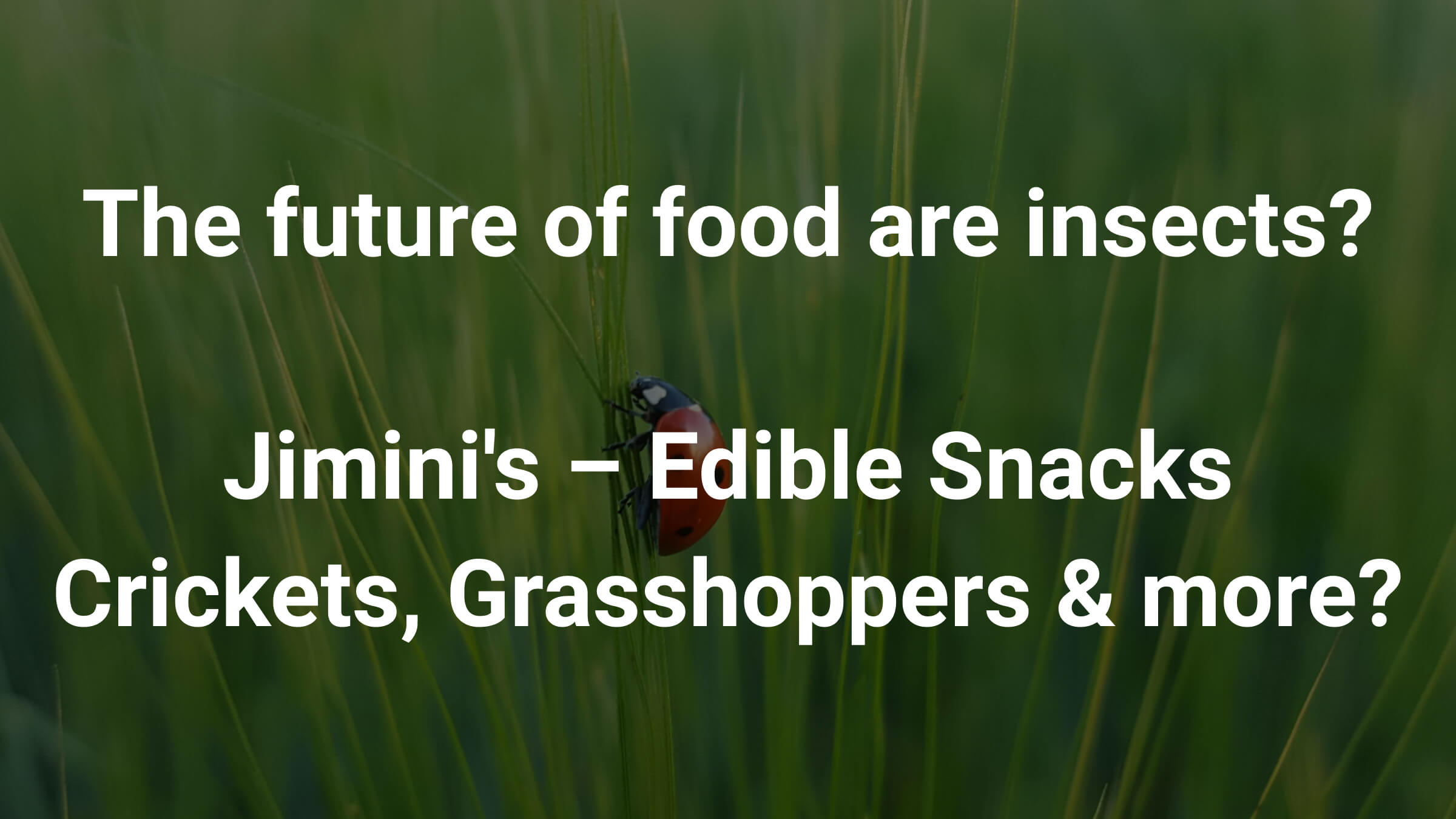 Jimini's – Pasta and Snacks made with insects like Crickets 🦗 ...
